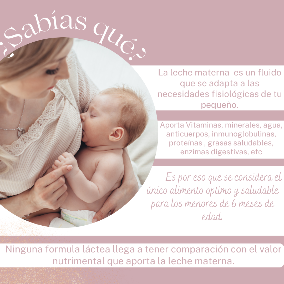 Publicaciones | Nutrióloga Mónica Pino